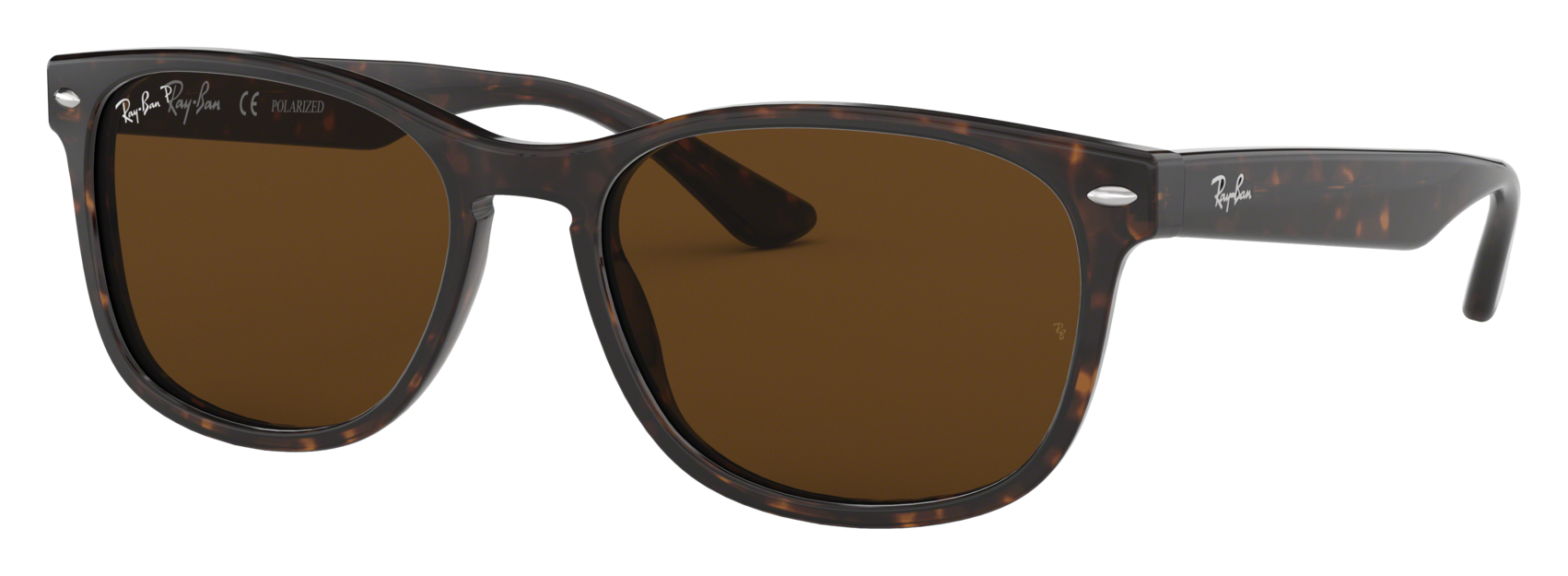 Ray-Ban RB2184 Polarized Glass Sunglasses | Bass Pro Shops